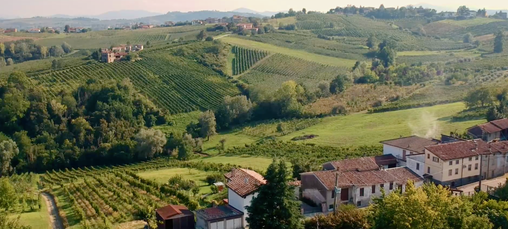 Colli Piacentini + The Golden Shades of Malvasia di Candia Aromatica ...