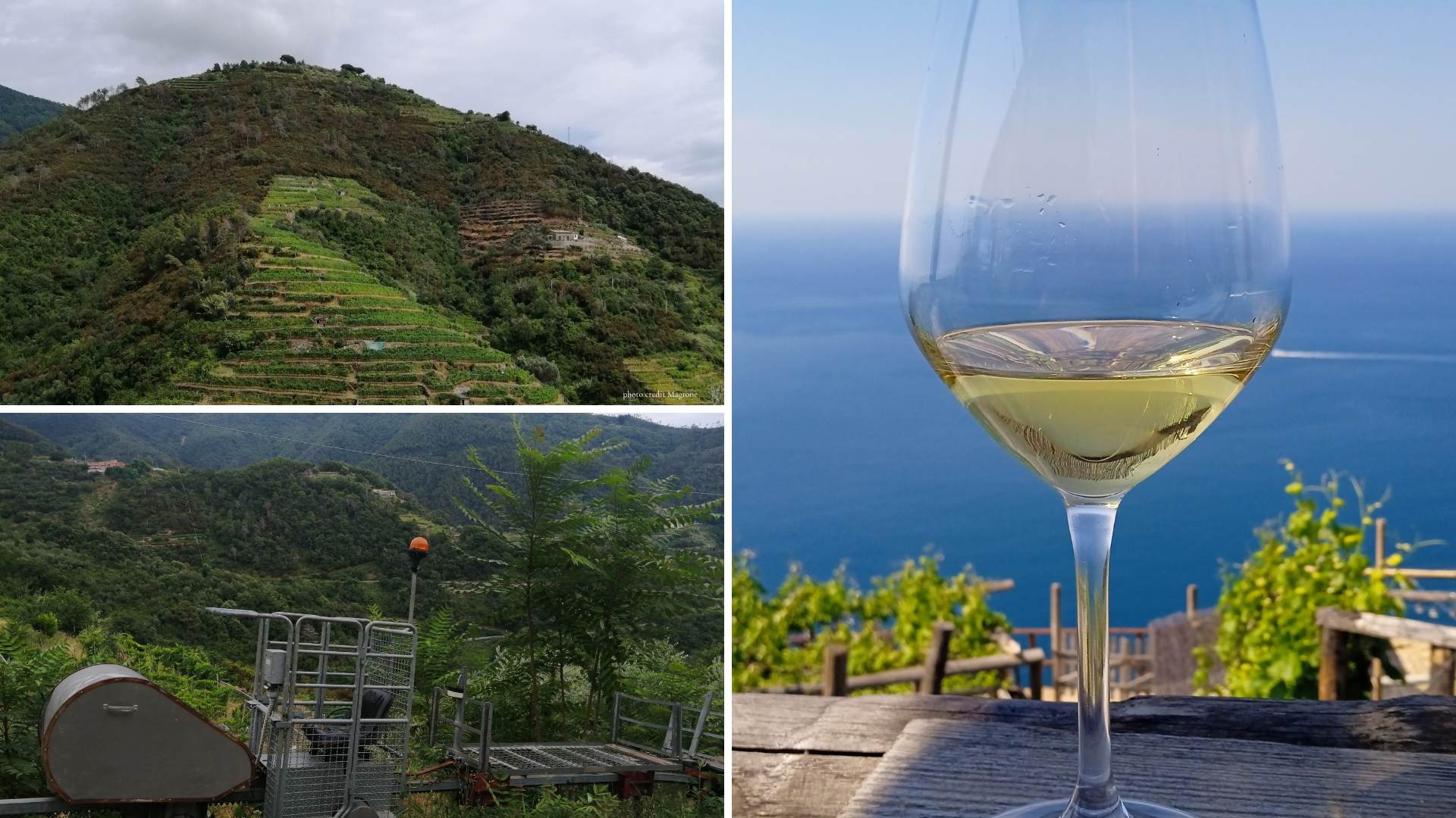 Exploring Ligurian Riviera's Enchanting World of Vineyards and Villages ...